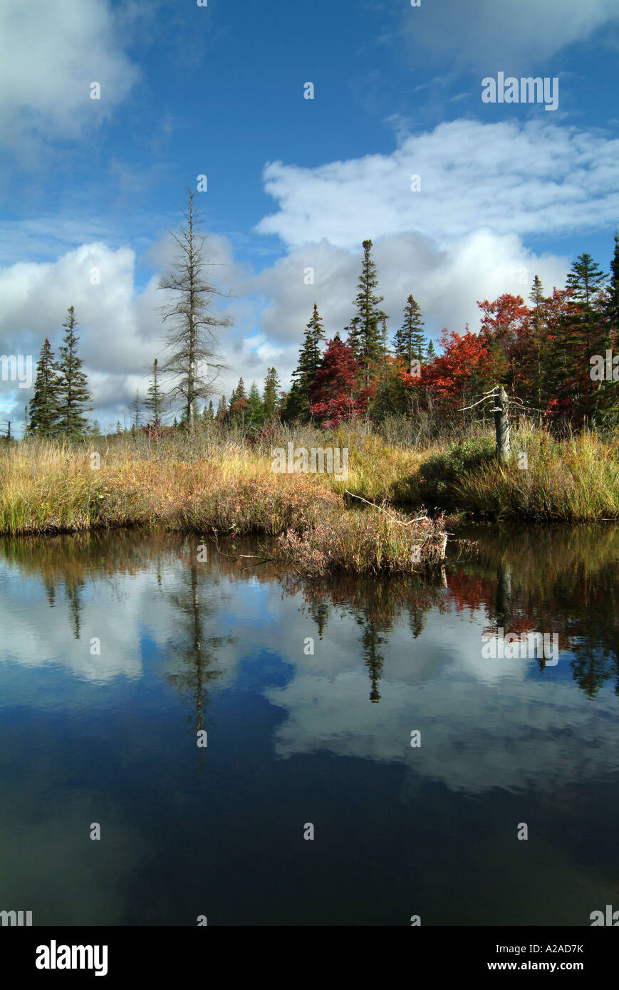 River Ste. Mary River Sault Ste.Marie soo ssm Autumn blue sky cloud ...