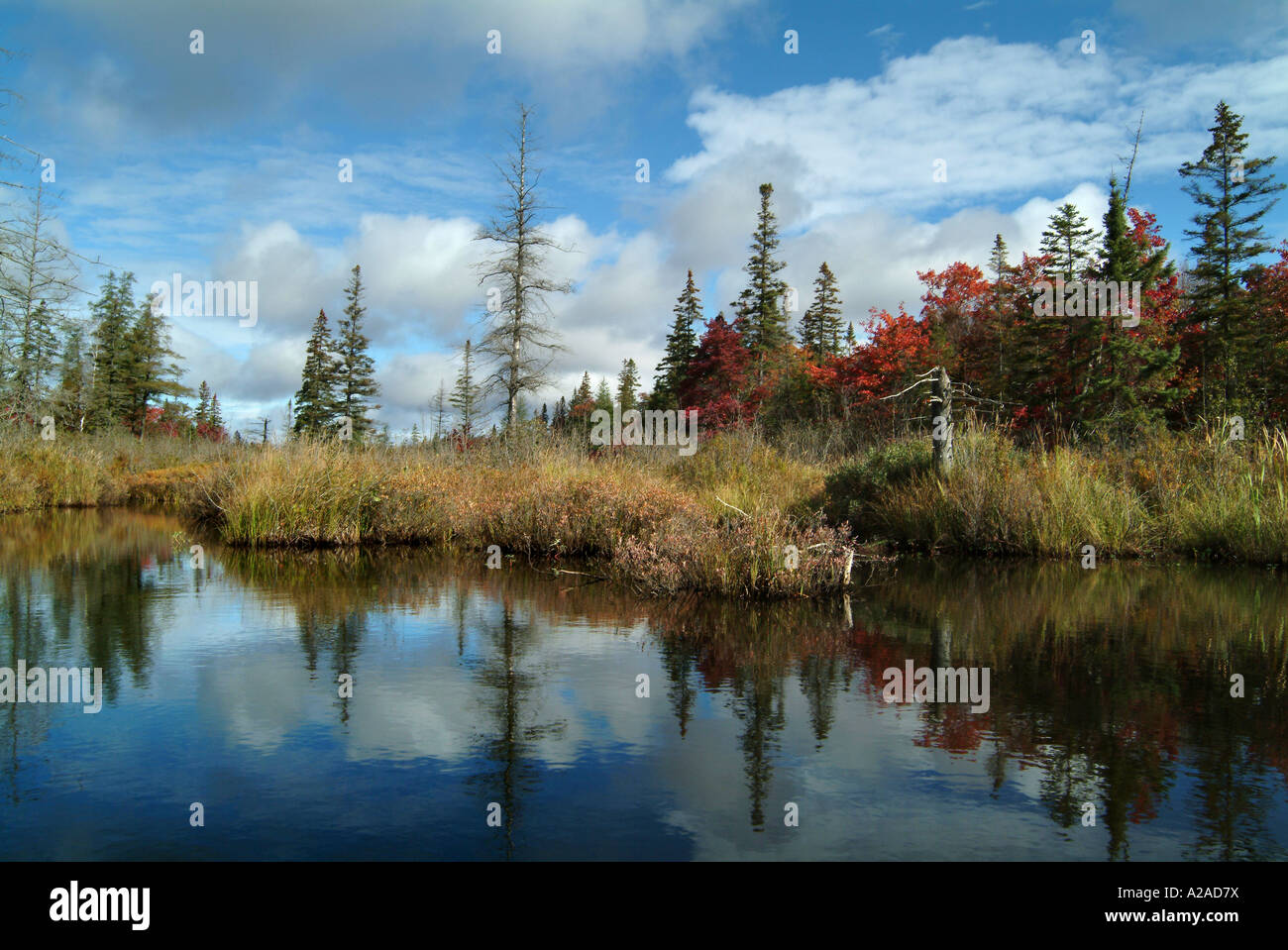 River Ste. Mary River Sault Ste.Marie soo ssm Autumn blue sky cloud ...