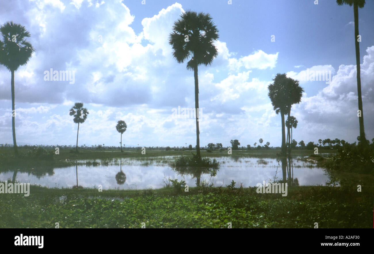 cambodia phnom phen Stock Photo - Alamy