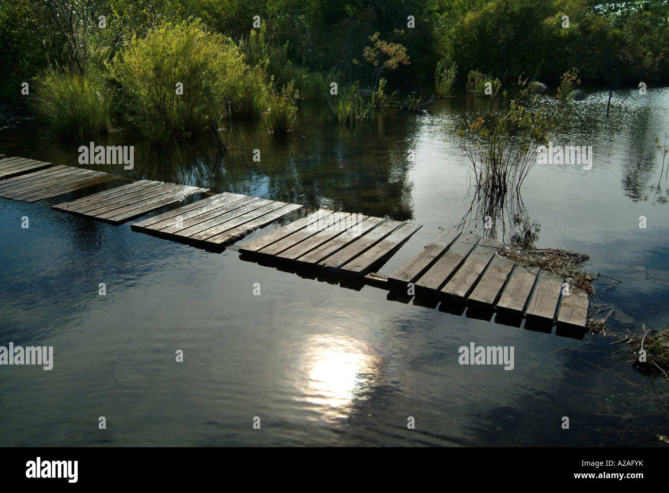 A floating bridge on St.Marie river Stock Photo - Alamy