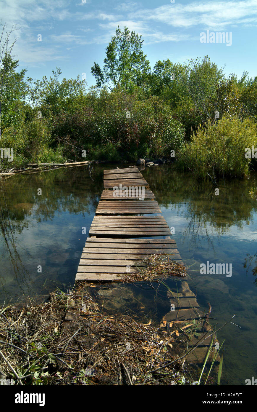 A floating bridge on St.Marie river Stock Photo - Alamy