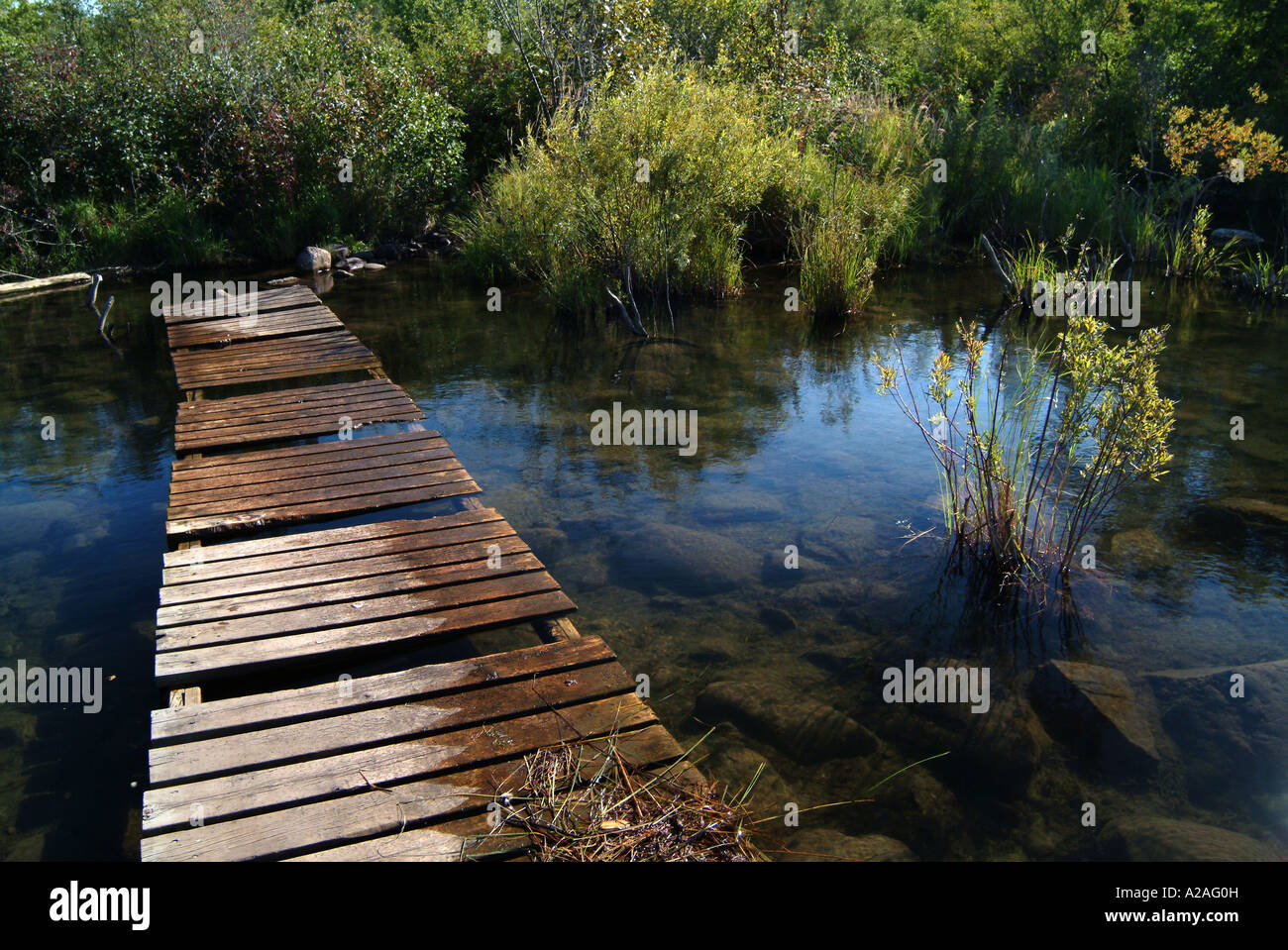 A floating bridge on St.Marie river Stock Photo - Alamy