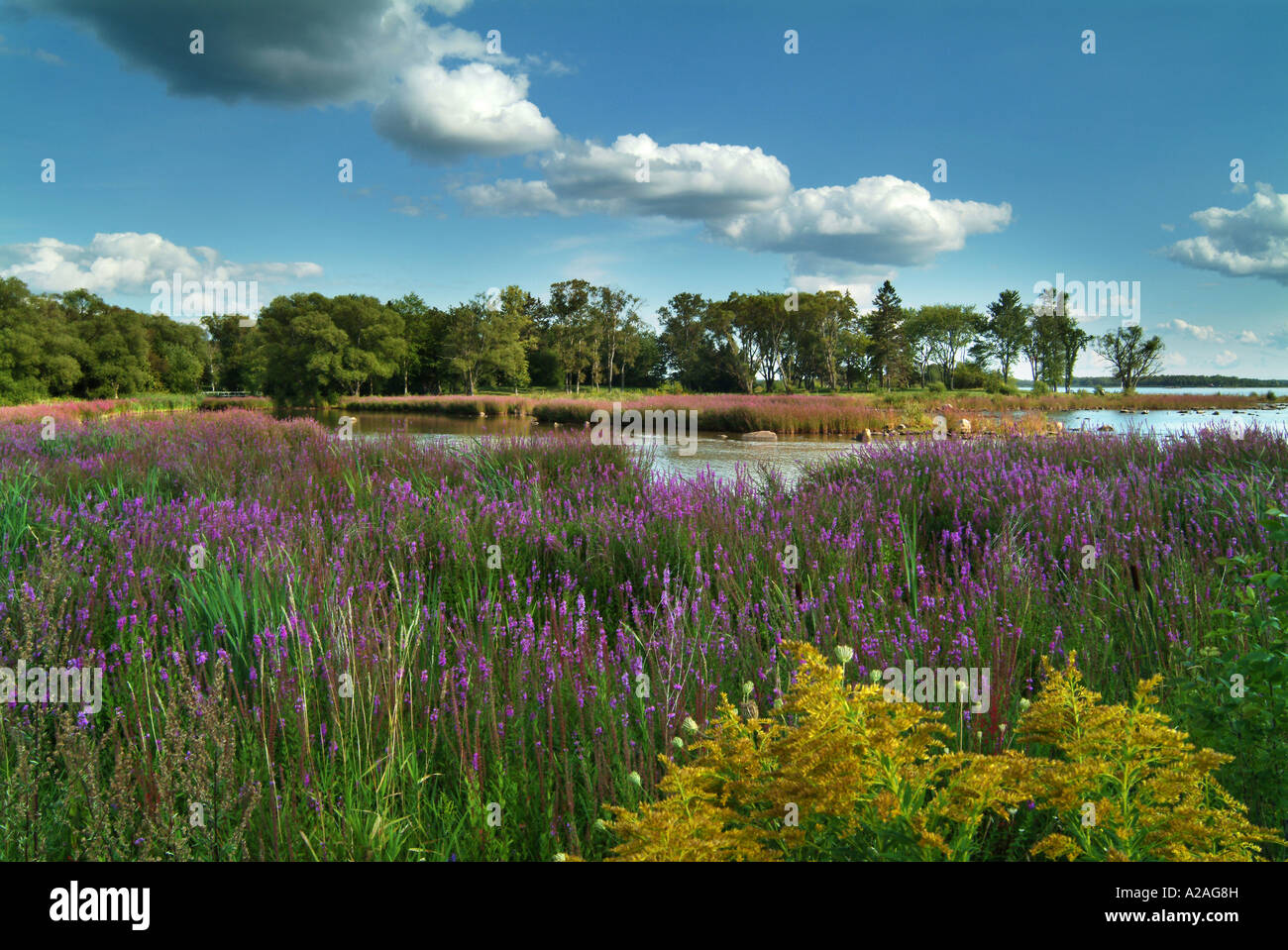 Bellevue park in soo hi-res stock photography and images - Alamy