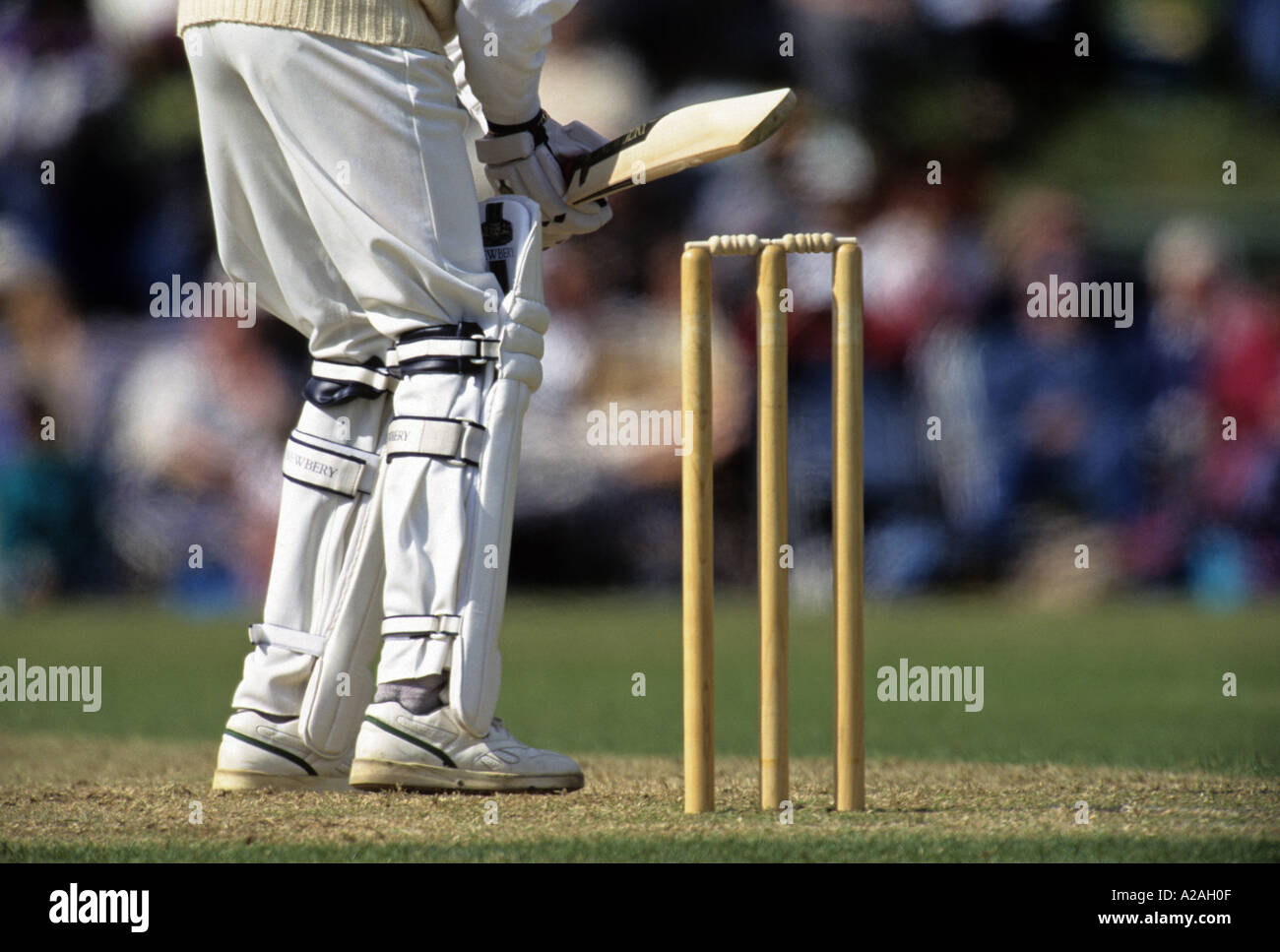 Cricket bat and stumps close up hi-res stock photography and images - Alamy