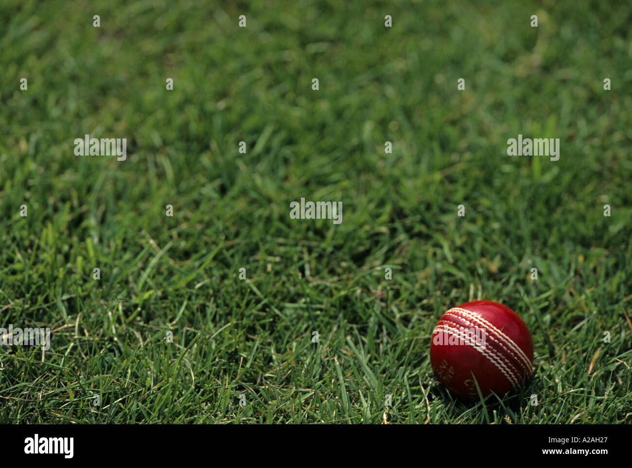 Close detail of cricket equipment hi-res stock photography and images ...