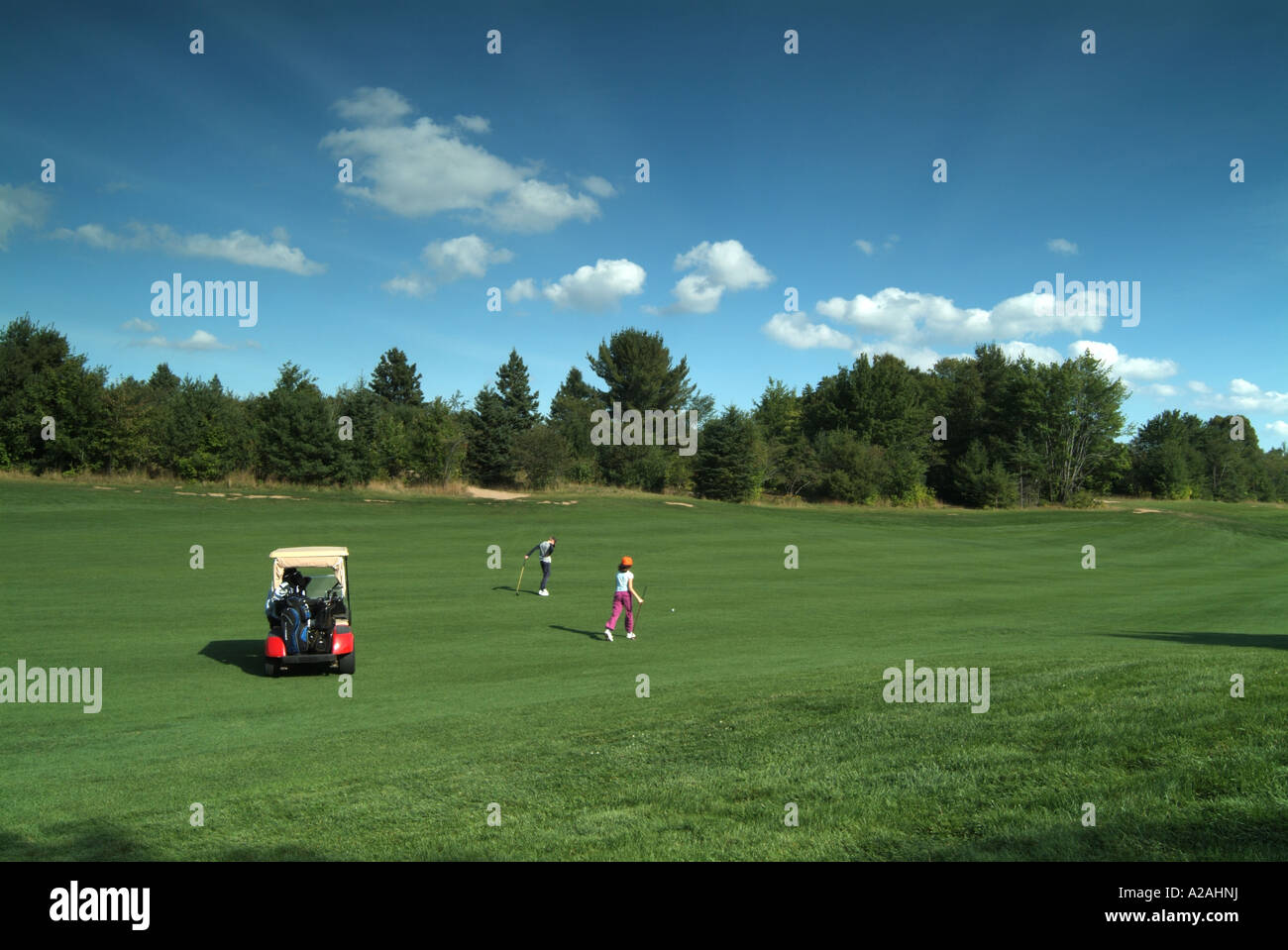 Golfer on Golf-course Stock Photo - Alamy