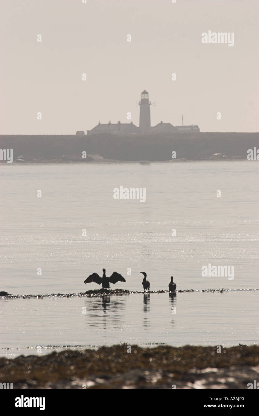 Langness Lighthouse High Resolution Stock Photography and Images - Alamy