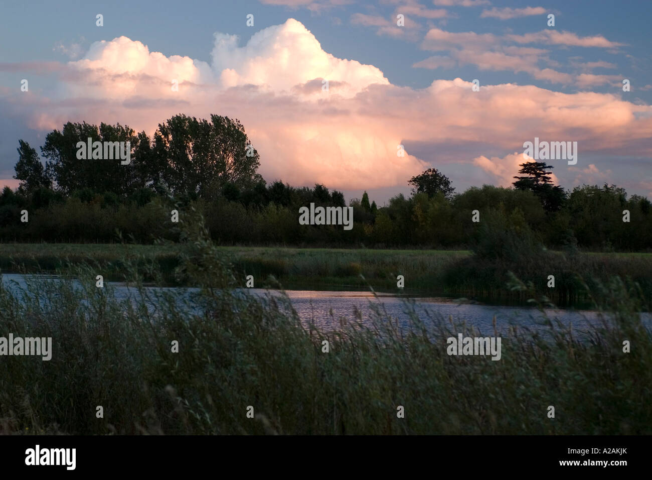 Fen drayton lakes nature reserve hi-res stock photography and images ...