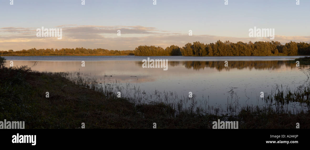 Fen Drayton Nature Reserve disused gravel pits sunset Stock Photo - Alamy