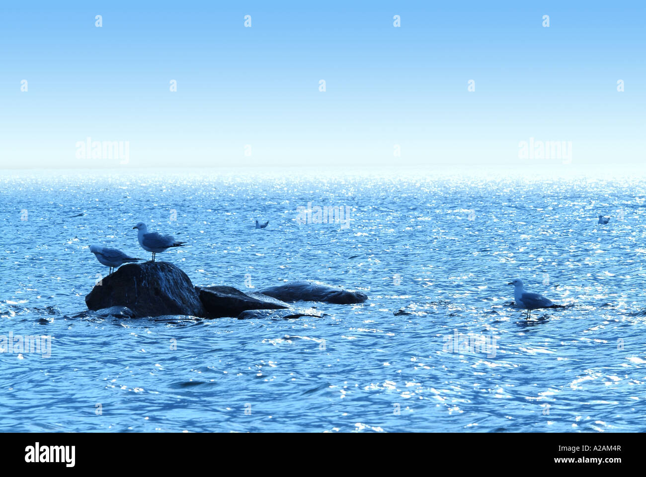 Three scenes river lake hi-res stock photography and images - Alamy