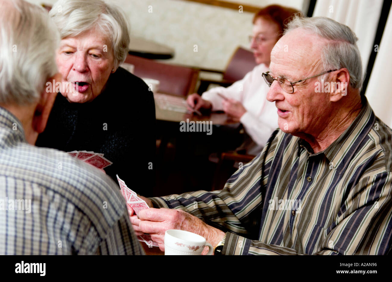 Seniors playing cards Stock Photo - Alamy