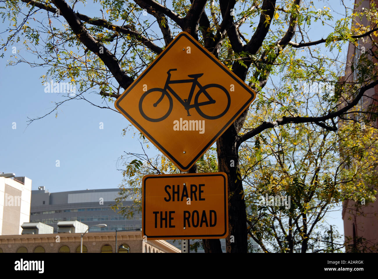 Yellow share the road bicycle sign, Denver, Colorado, USA Stock Photo ...