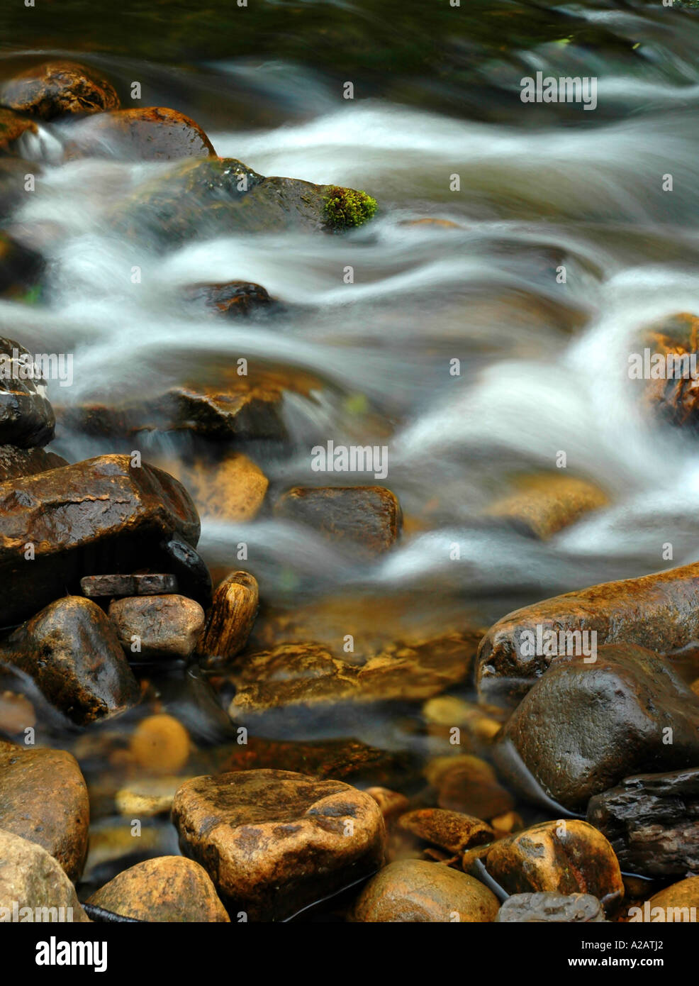 Shallow clear river running over hi-res stock photography and images ...