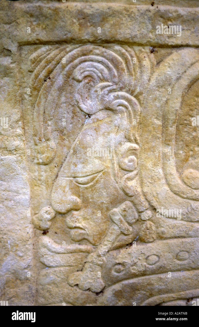 Profile of temples hi-res stock photography and images - Alamy