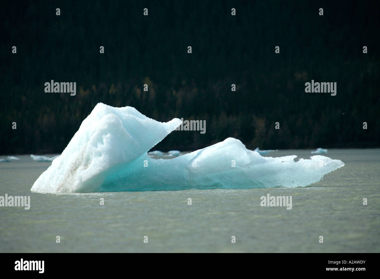 small iceberg in alskan fjord Stock Photo - Alamy