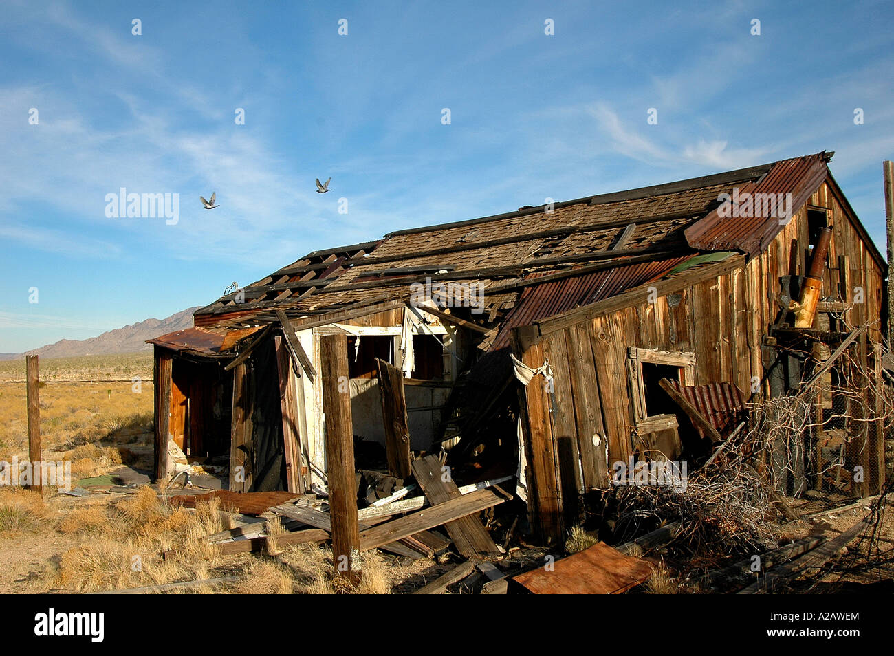 Cima california hi-res stock photography and images - Alamy