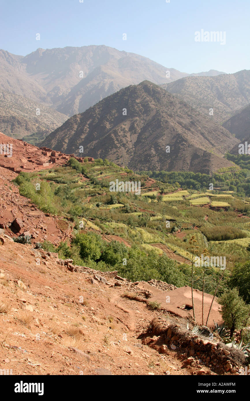 Berber tended farming areas Atlas Mountains Morocco Stock Photo - Alamy