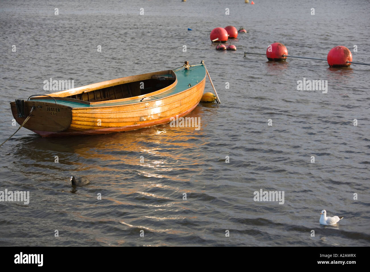 Wooden rowing boat moored afloat Stock Photo - Alamy