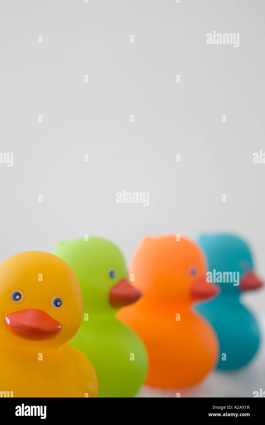 Getting your ducks in a row Stock Photo - Alamy