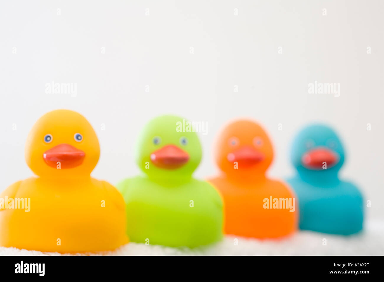 Getting your ducks in a row Stock Photo - Alamy