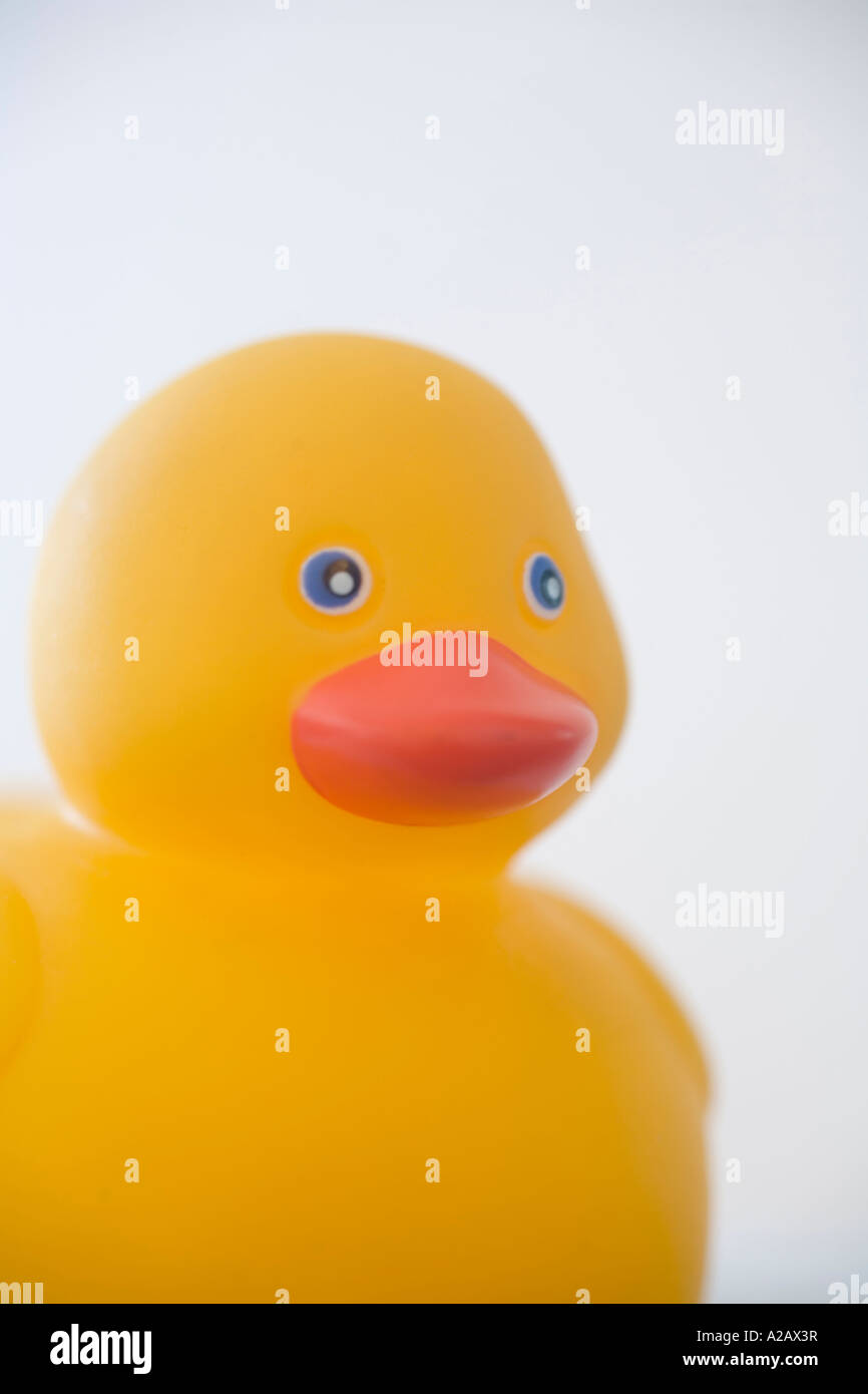 A yellow rubber duck Stock Photo - Alamy