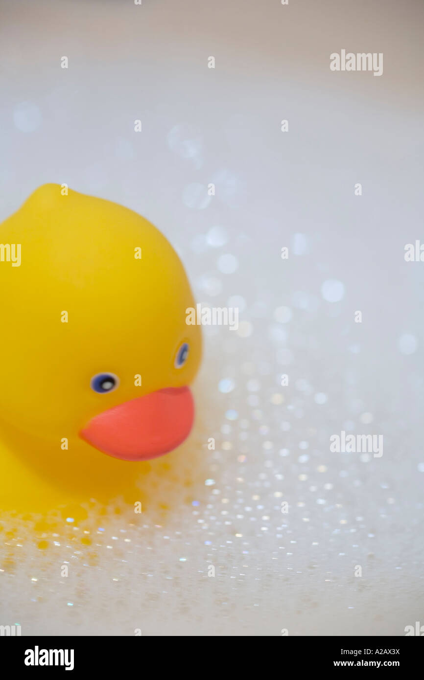 A yellow rubber duck sitting in bubbles Stock Photo - Alamy
