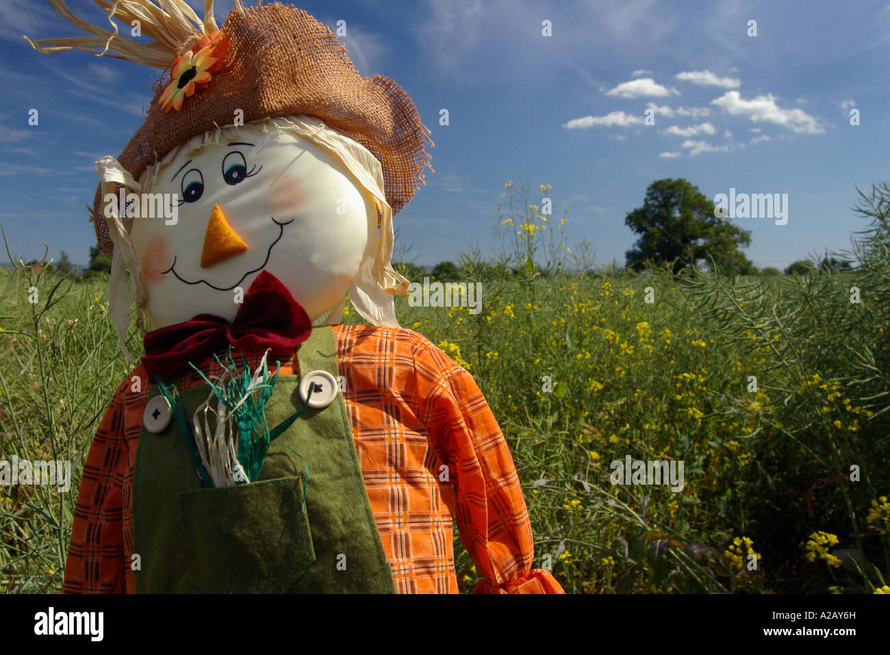Scarecrow hi-res stock photography and images - Alamy