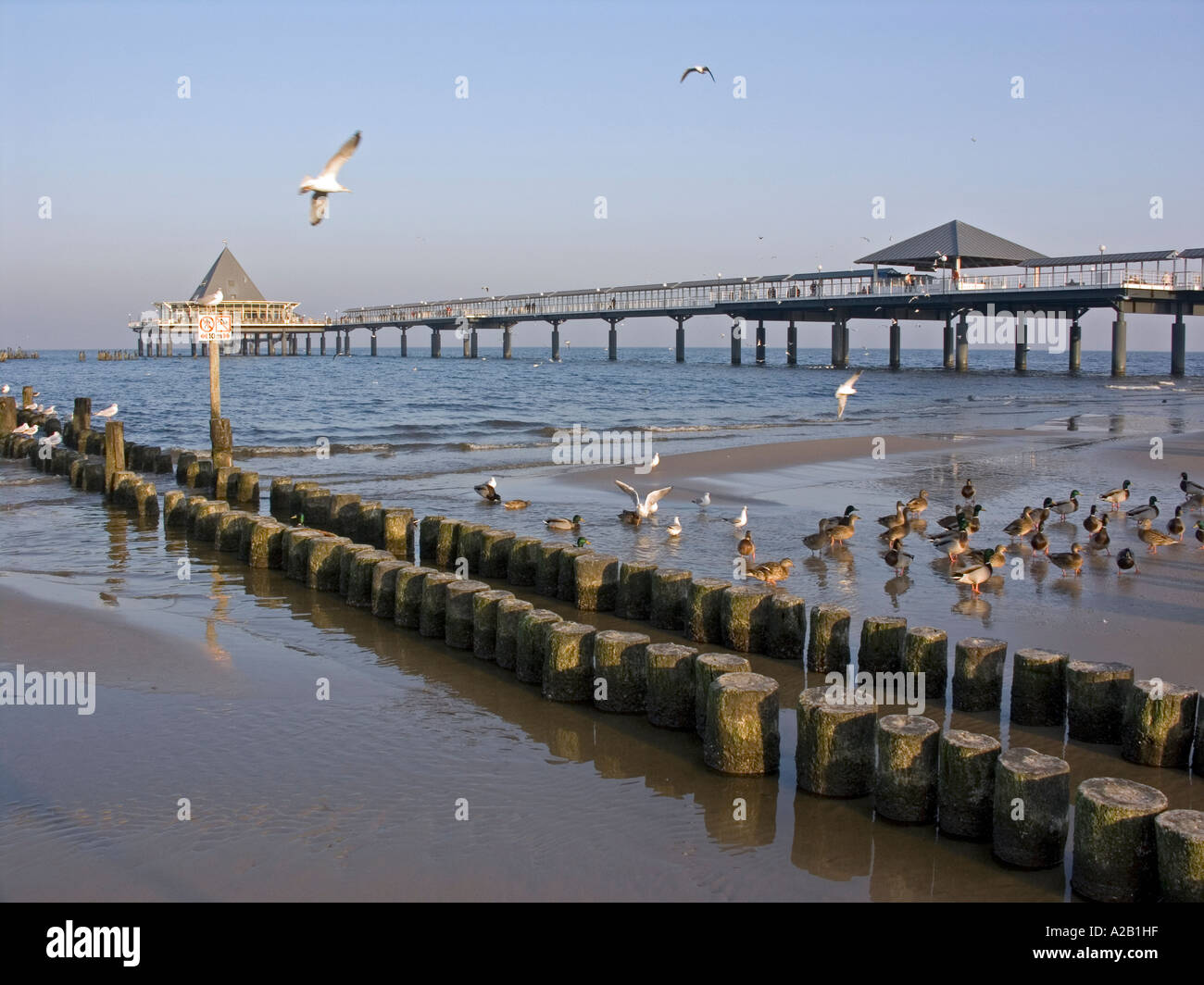 Bridge piles hi-res stock photography and images - Alamy