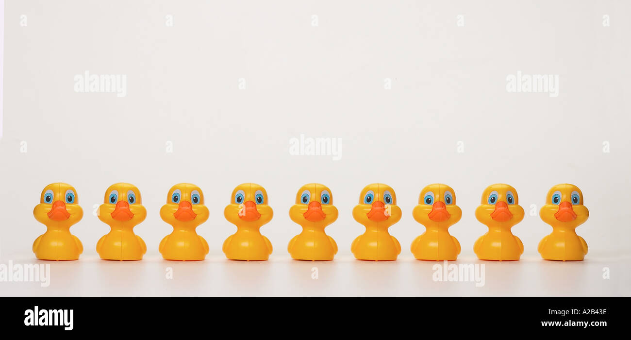 Ducks In A Row Stock Photo - Alamy