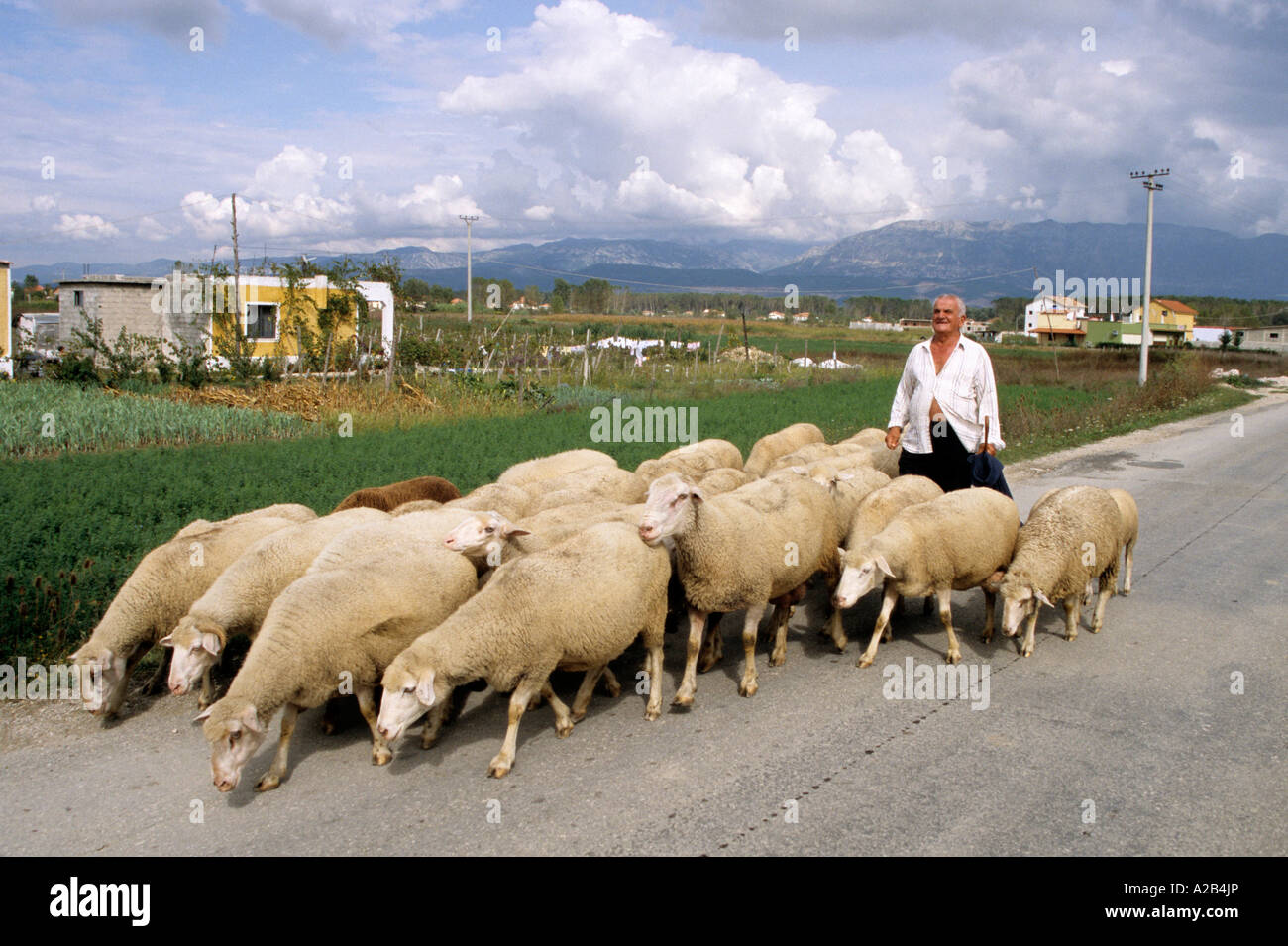 Albanian shepherd hi-res stock photography and images - Alamy