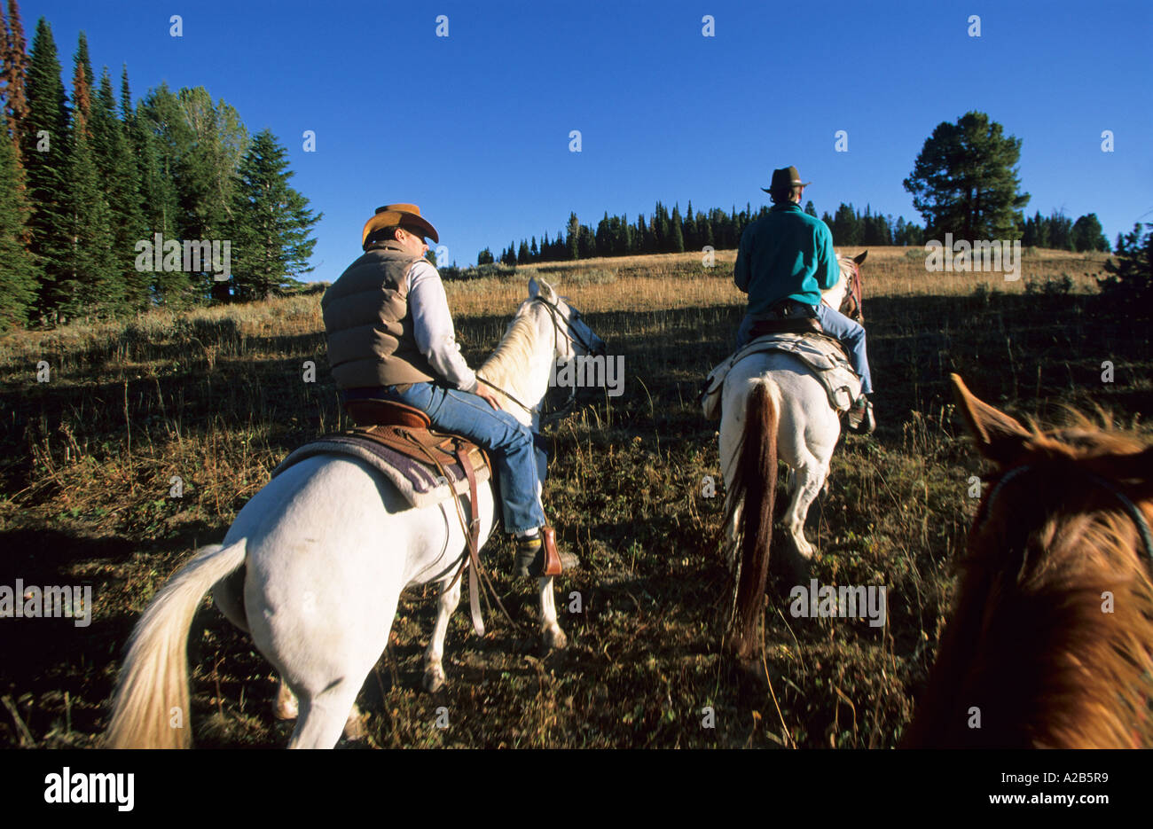 USA Montana Centennial Mountains horseback riding Stock Photo - Alamy