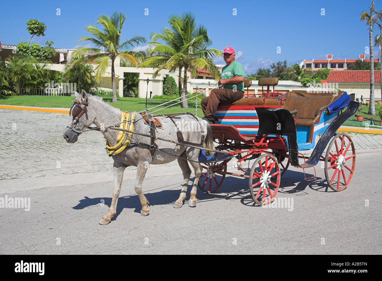 Mule pulling cart hi-res stock photography and images - Alamy