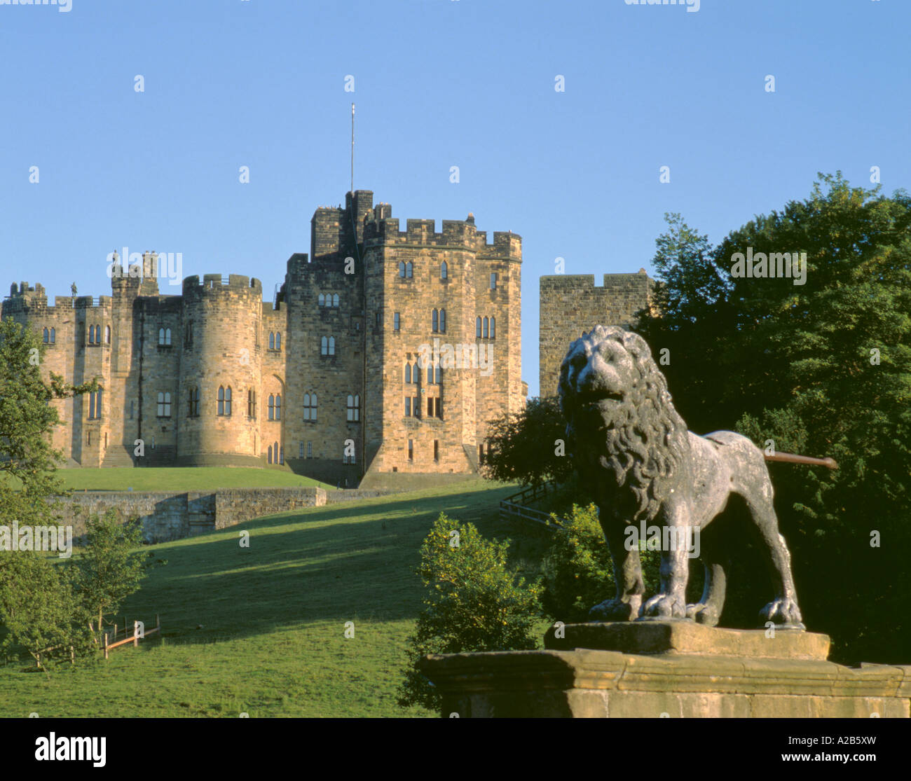 Percy Lion High Resolution Stock Photography and Images - Alamy
