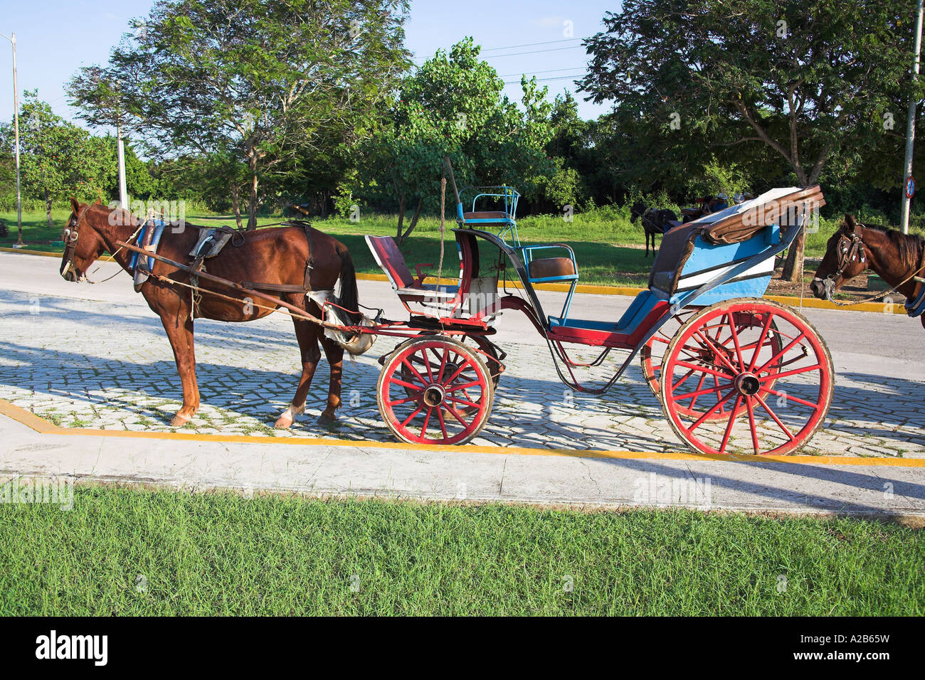 Open top carriages hi-res stock photography and images - Alamy