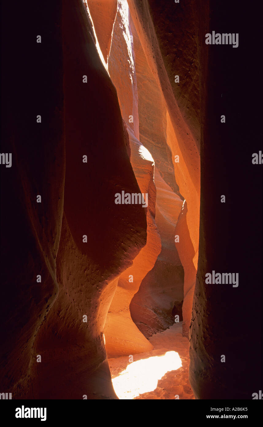 USA Utah Grand Staircase Escalante National Monument Spooky Gulch ...