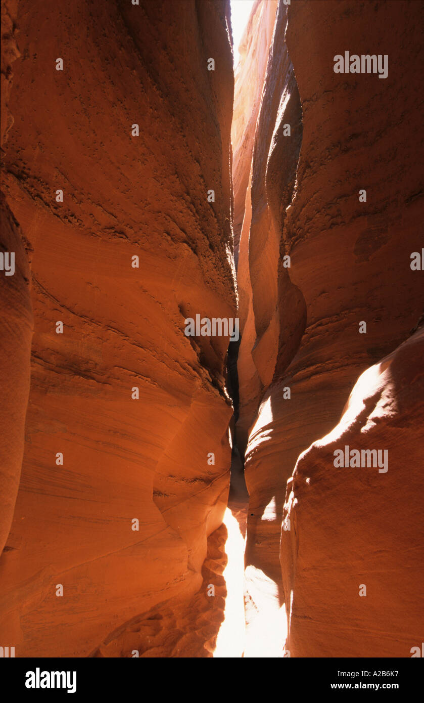 USA Utah Grand Staircase Escalante National Monument Spooky Gulch ...