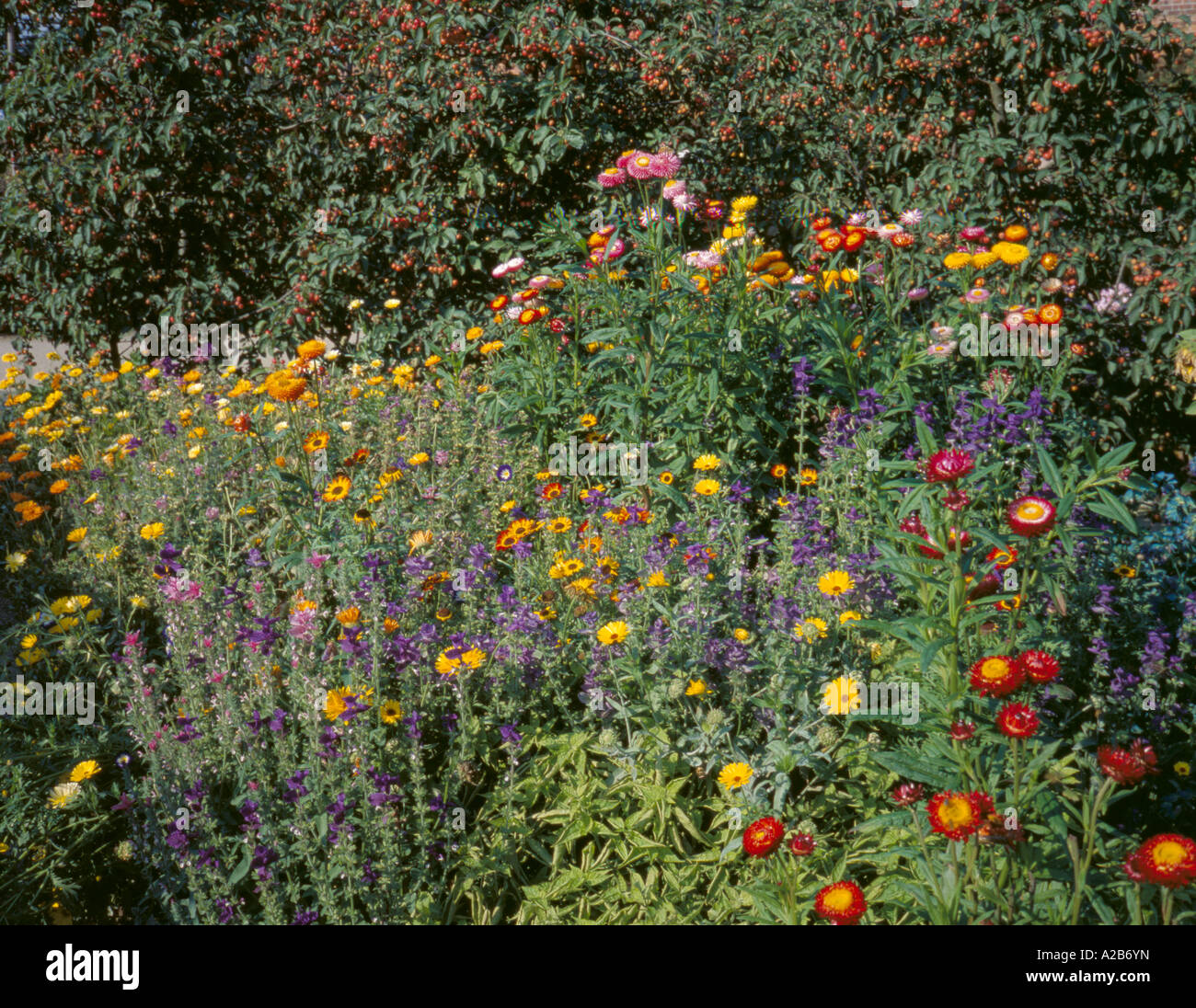 Floral display, Alnwick Castle Gardens, Alnwick, Northumberland ...