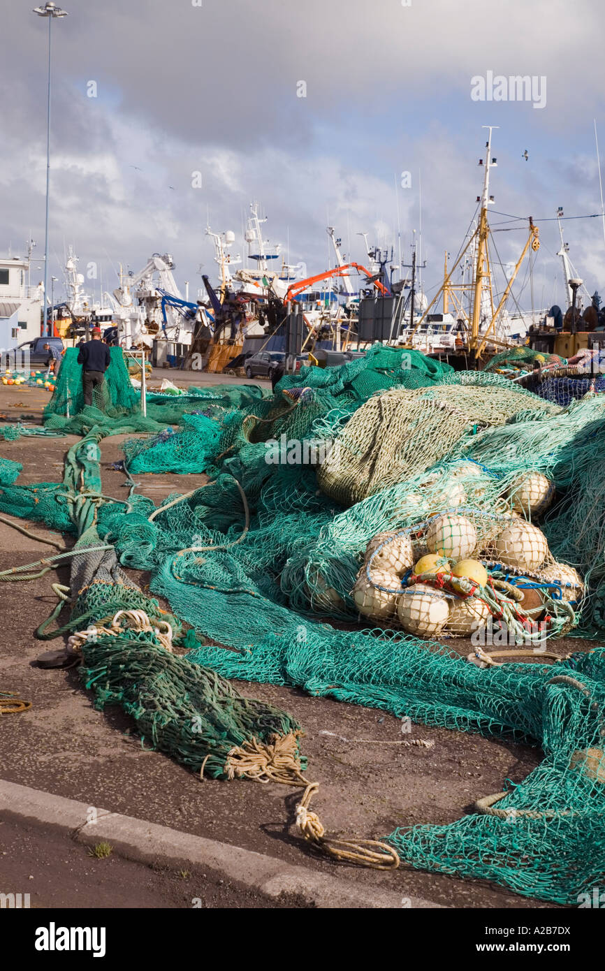 Fishing nets spread out on dock in harbour with moored pelagic fishing ...