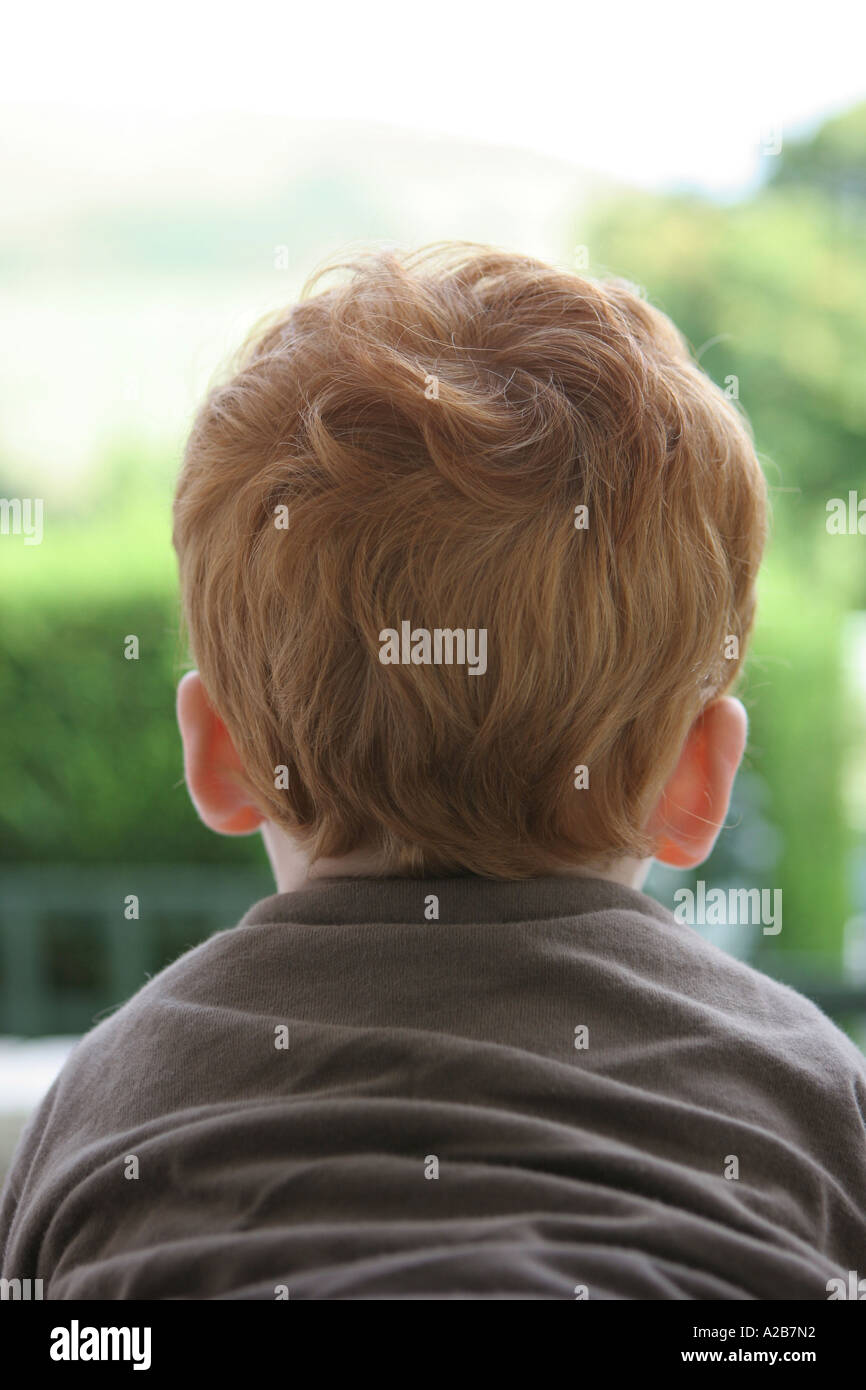 The back of a toddler with red hair Stock Photo - Alamy