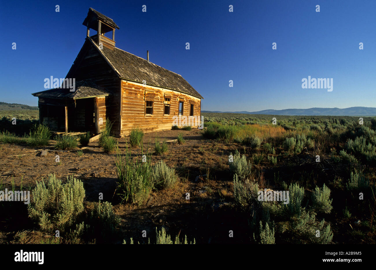 Ponderosa ranch hi-res stock photography and images - Alamy