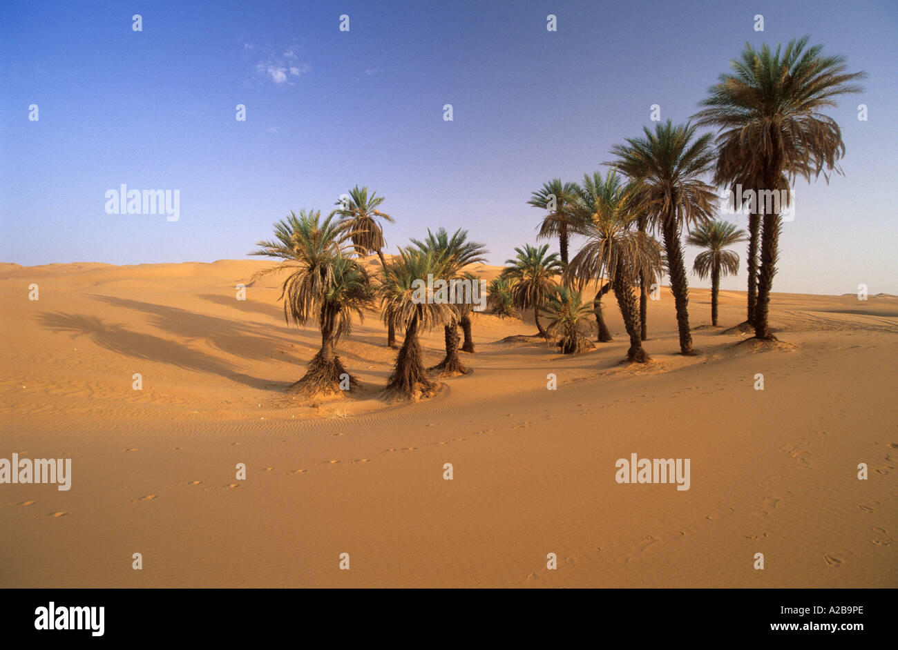 Awbari hi-res stock photography and images - Alamy
