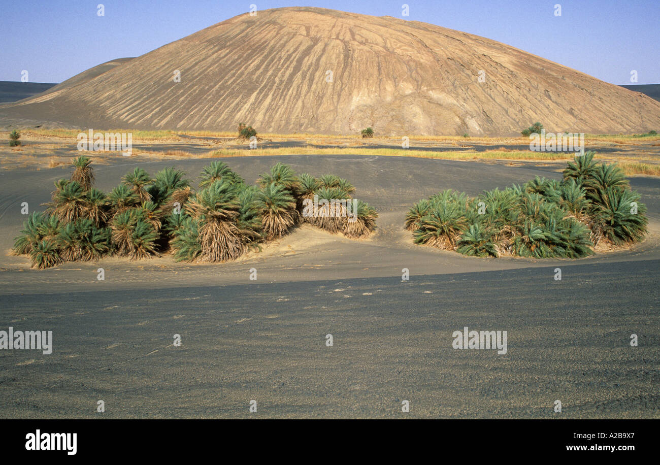 Namus hi-res stock photography and images - Alamy