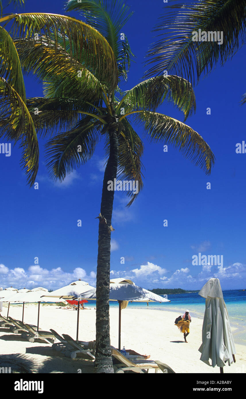 Belle mare beach Mauritius island Stock Photo - Alamy