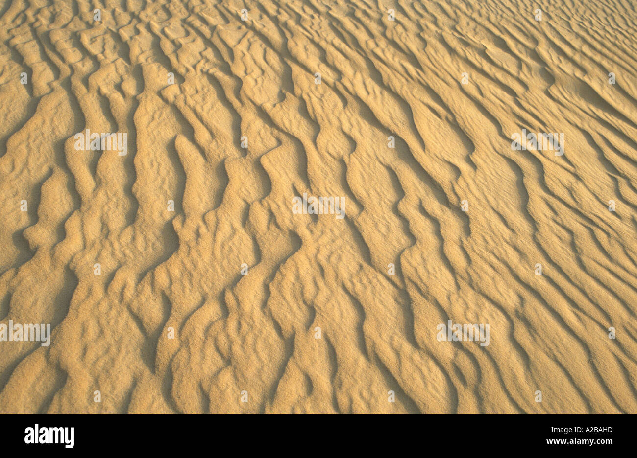 Structures in the desert sand, Erg Rabianah, Ramlat Rabyanah, Libya ...