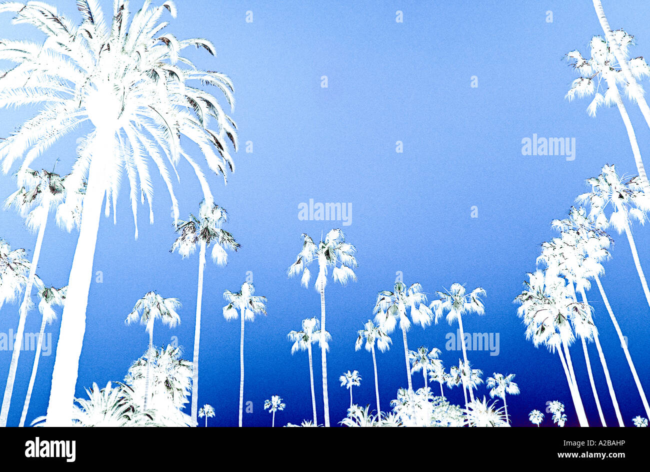 Solarization hi-res stock photography and images - Alamy