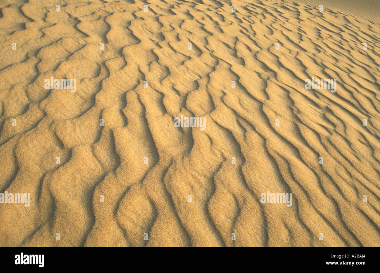Structures in the desert sand, Erg Rabianah, Ramlat Rabyanah, Libya ...