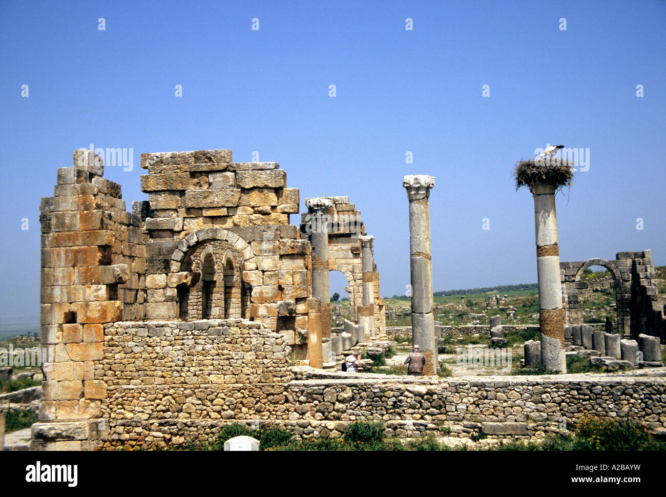 The remains of the roman colony. Volubilis, Morocco Stock Photo - Alamy