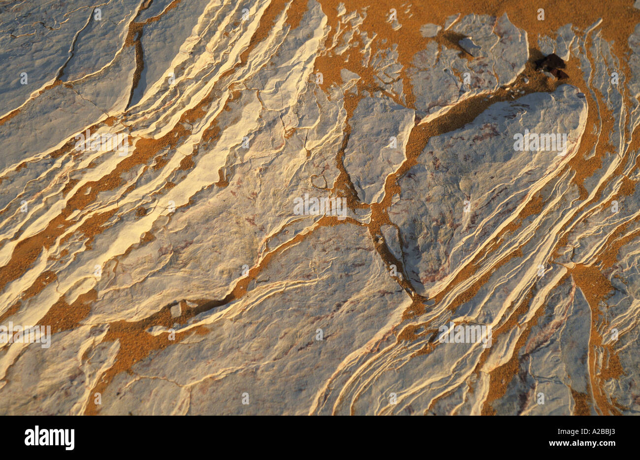 Rocky desert floor with sand Stock Photo - Alamy