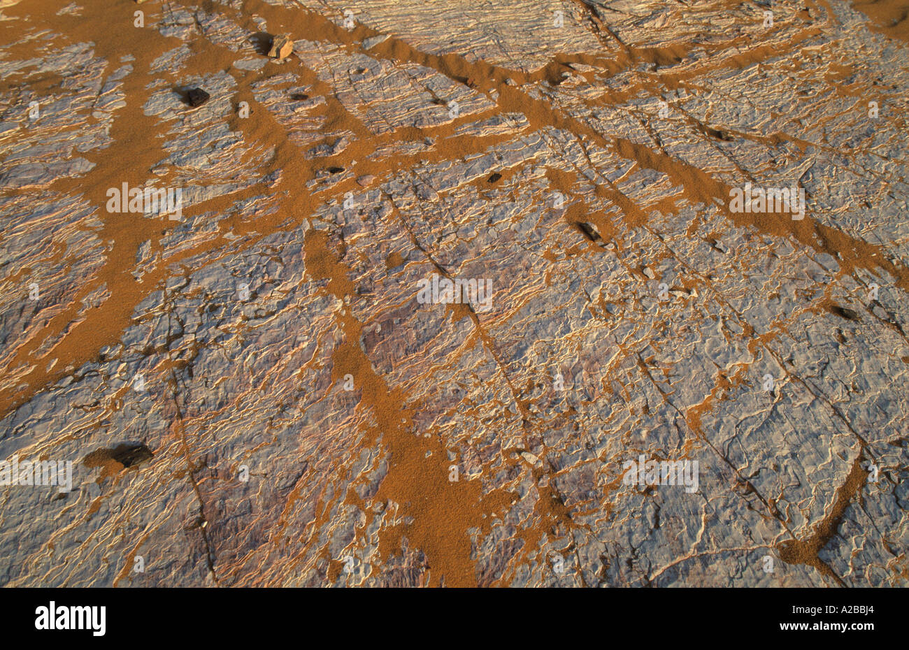 Floor layers hi-res stock photography and images - Alamy