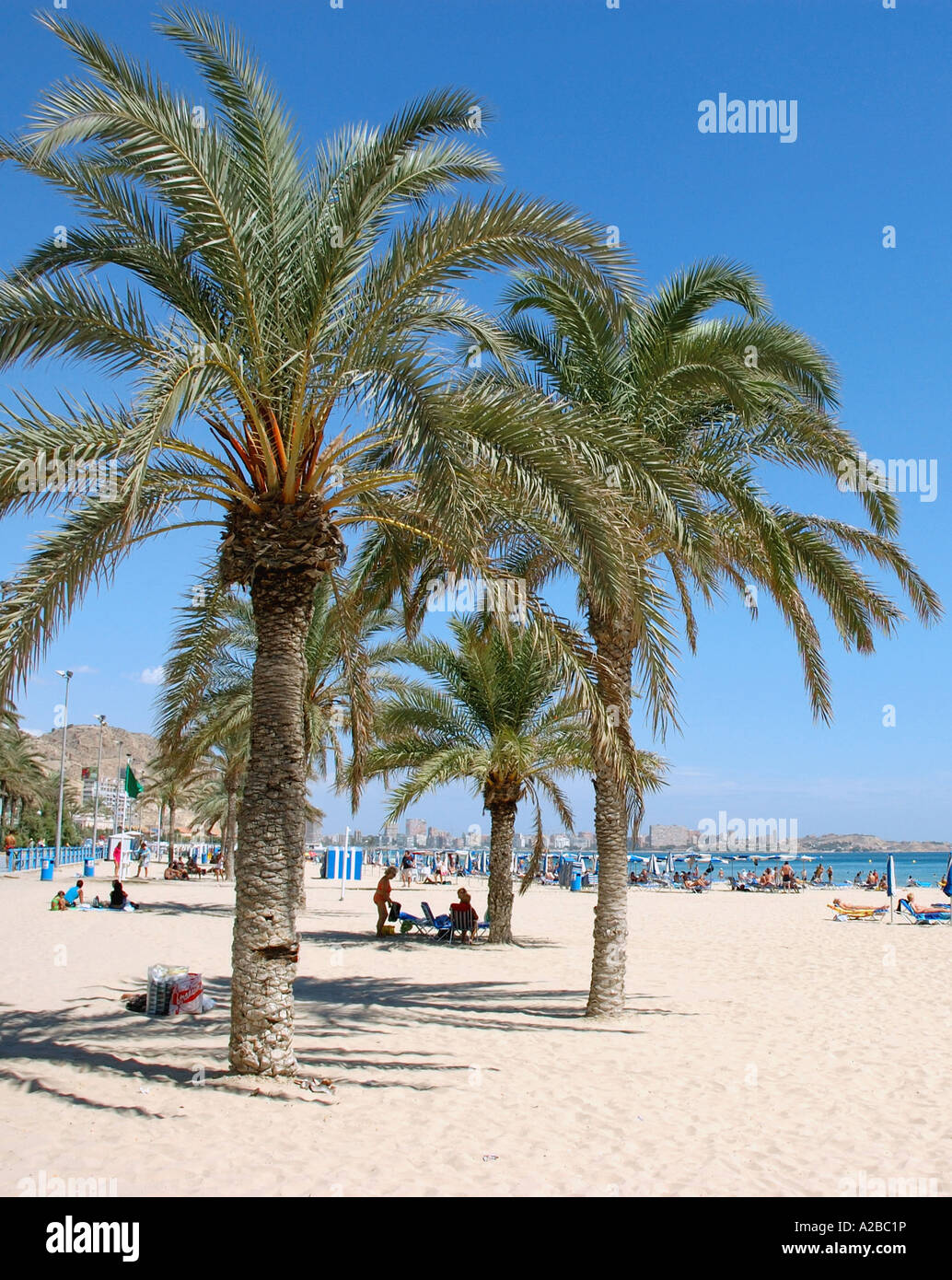 Seafront Alicante Alacant Valencia Comunitat Comunidad Valenciana Costa ...
